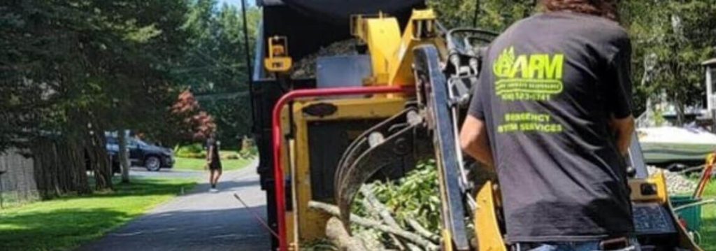 Emergency Tree Services | Mansfield, NJ | APM Tree Service